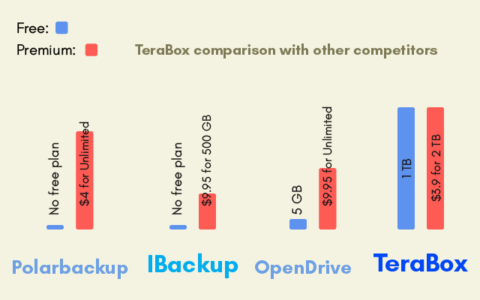 How Much Does 1 TB Online Storage Cost?