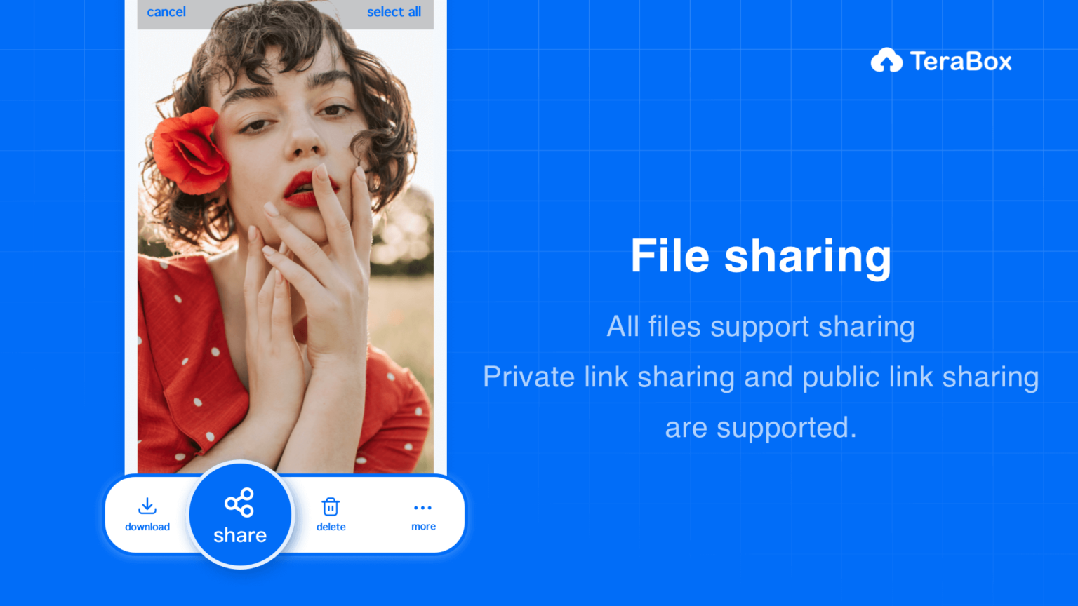 What Is The Best File Sharing Site? What Is The Best File Sharing Site?