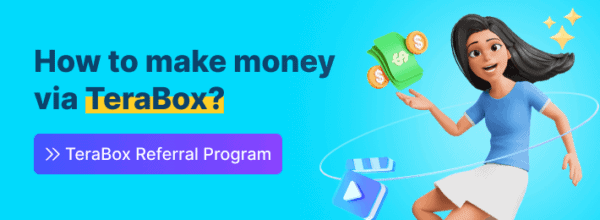 How To Earn Online From Home Via TeraBox?