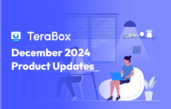 TeraBox December 2024 Product Updates